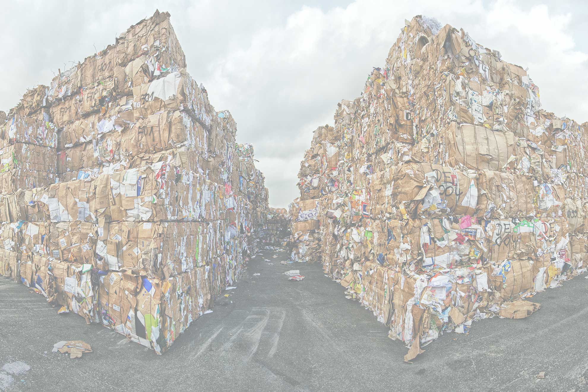 Comprehensive Waste Management Solutions for Green Business